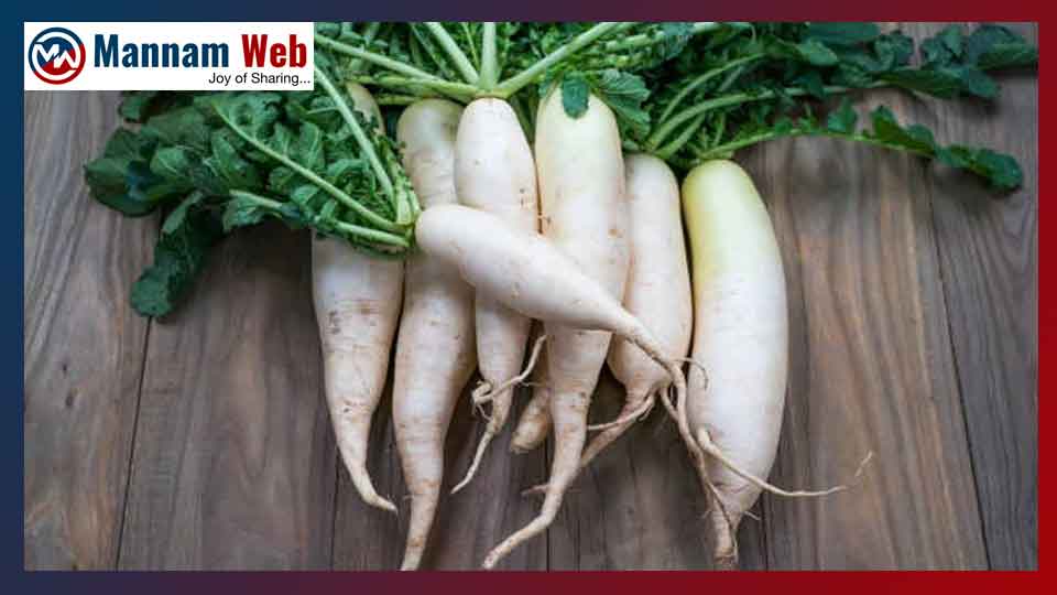 Hemorrhoids: మొలల వ్యాధికి తగిలి అంటే రోజూ ఇది తాగితే ఉపశమనం! - Mannam ...